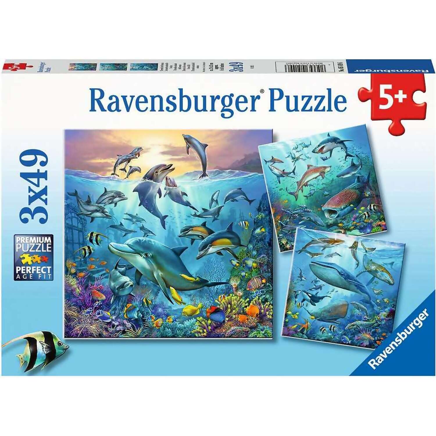 Ravensburger – Ocean Life Jigsaw Puzzle 3 X 49pc – Tates Toys Australia ...