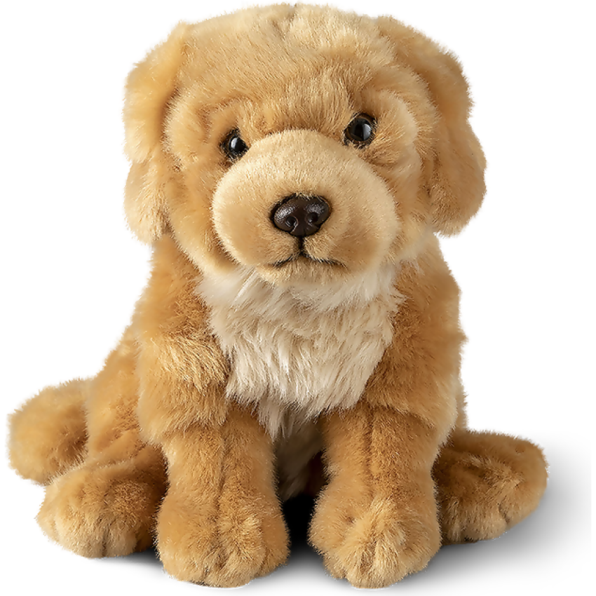 Living Nature – Golden Retriever 20cm Plush – Tates Toys Australia ...